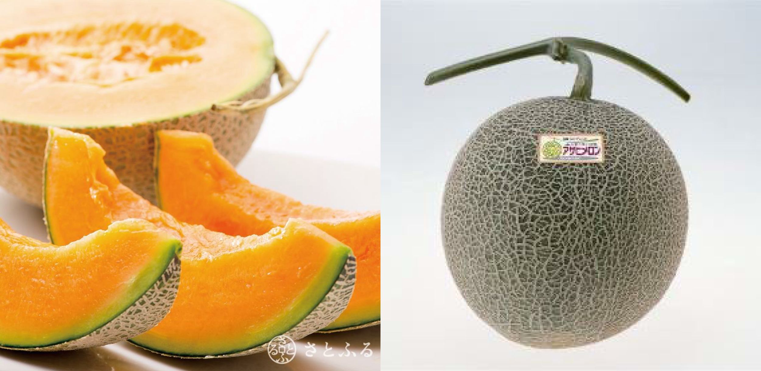 abira | ノーザンホースパークマラソン2025【公式】